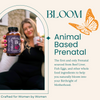 Bloom - Animal Based Pregnancy Support | Birthright Supplements